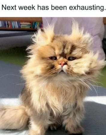 40 Funniest Work Memes For Employees Showing Up Hungover From The Super ...