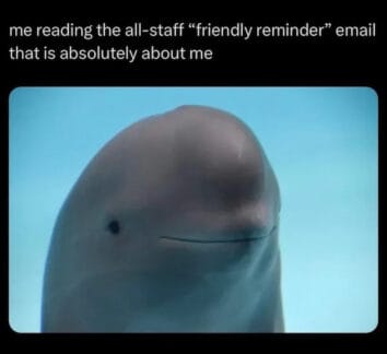 40 Funniest Work Memes For Employees Showing Up Hungover From The Super ...