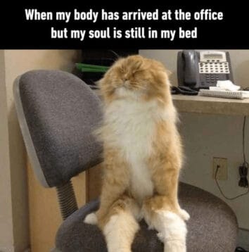 40 Funny Work Memes To Survive Another Monday (February 24, 2025)