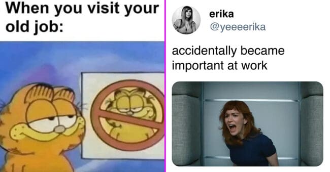 40 Funny Work Memes To Survive Another Monday (February 24, 2025)