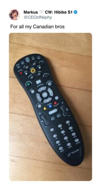 35 Nostalgic TV Remotes That Prove We All Had Different Childhoods