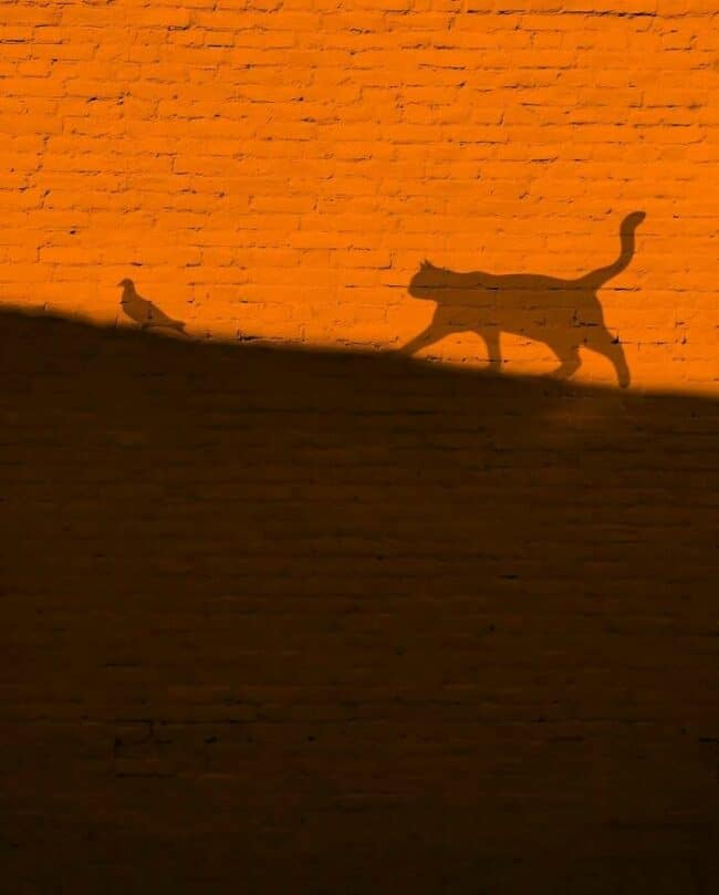 40 Minimalist And Surreal Photo Art Pieces By Benjamin Wolf That Feel ...