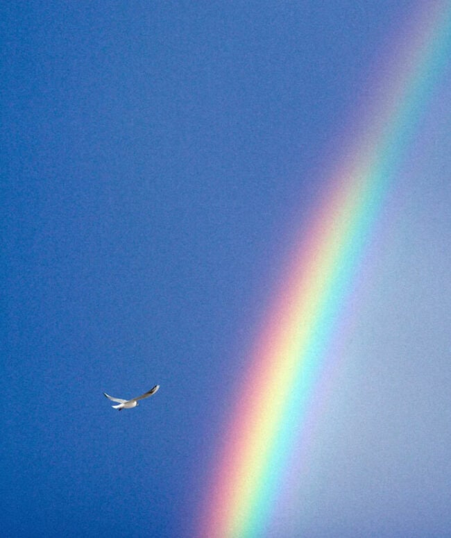 40 Minimalist And Surreal Photo Art Pieces By Benjamin Wolf That Feel ...