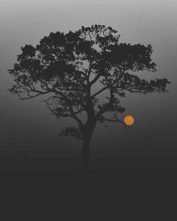 40 Minimalist And Surreal Photo Art Pieces By Benjamin Wolf That Feel ...