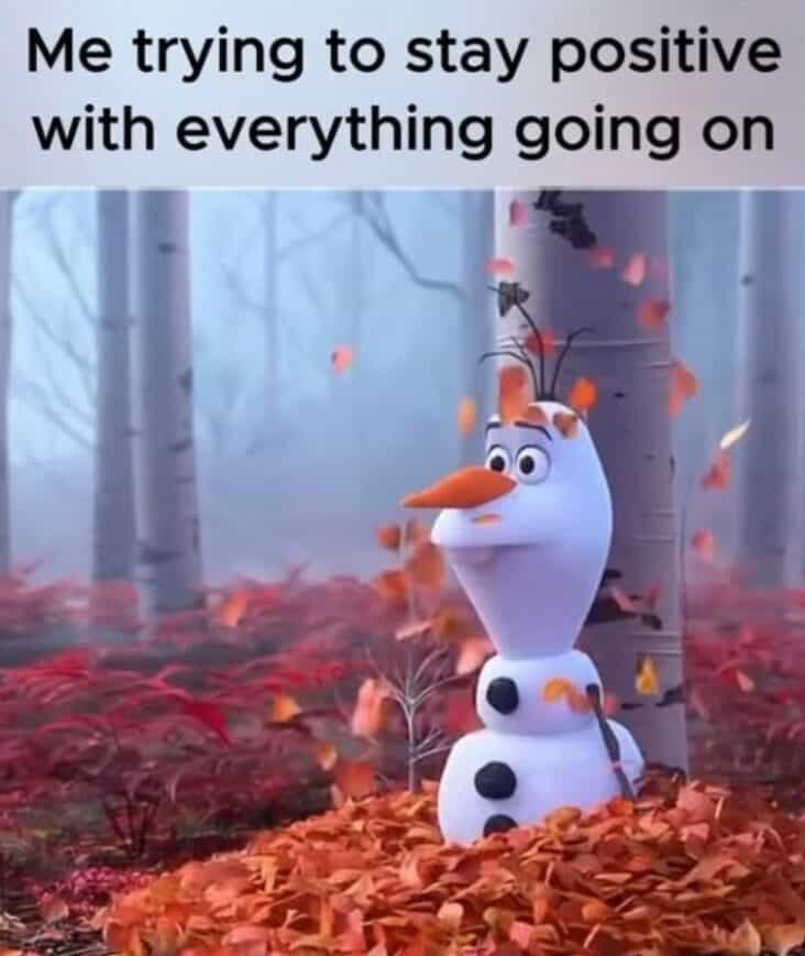 40 Funniest Disney Memes That Hit Harder Than a Direct-To-VHS Sequel ...