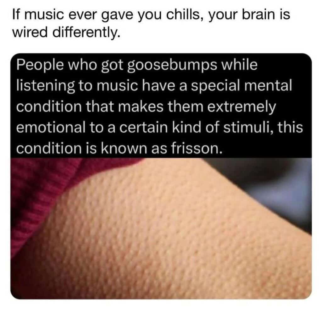 30 Wholesome Amazing Memes That Made Us Smile Today (August 31, 2025)