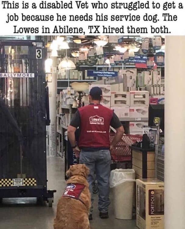 30 Wholesome Amazing Memes That Made Us Smile Today (August 31, 2025)