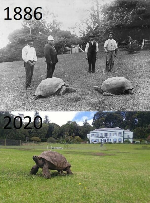 45 Amazing Then Vs Now Pictures That Show How Much Time Changes Everything