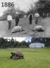 45 Amazing Then Vs Now Pictures That Show How Much Time Changes Everything