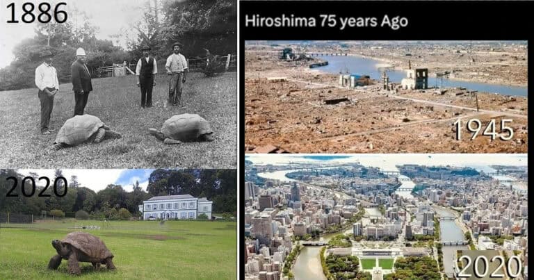 45 Amazing Then Vs Now Pictures That Show How Much Time Changes Everything