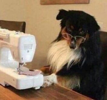 45+ Grumpy Animal Memes From Critters Who Are Mad The Weekend Is Over