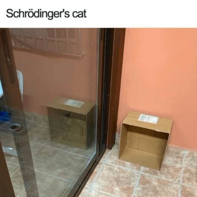 35 Mind-Bending Optical Illusion Pics Taken From Confusing Perspectives ...