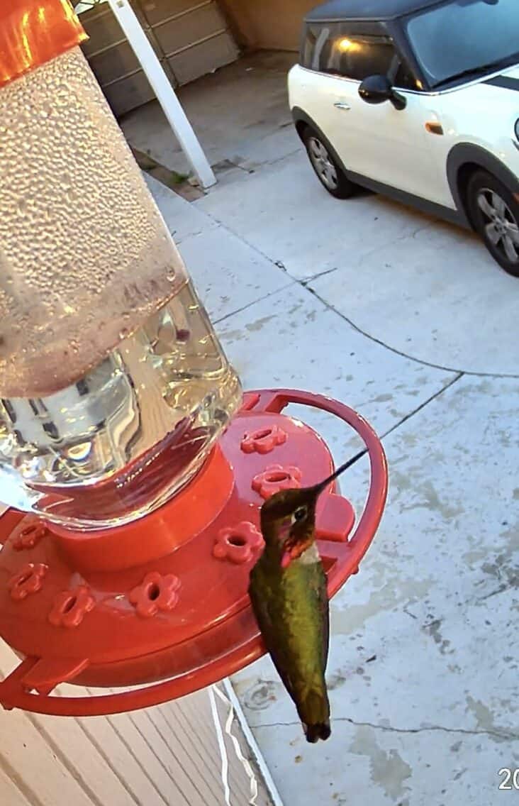 35 Mind-Bending Optical Illusion Pics Taken From Confusing Perspectives ...