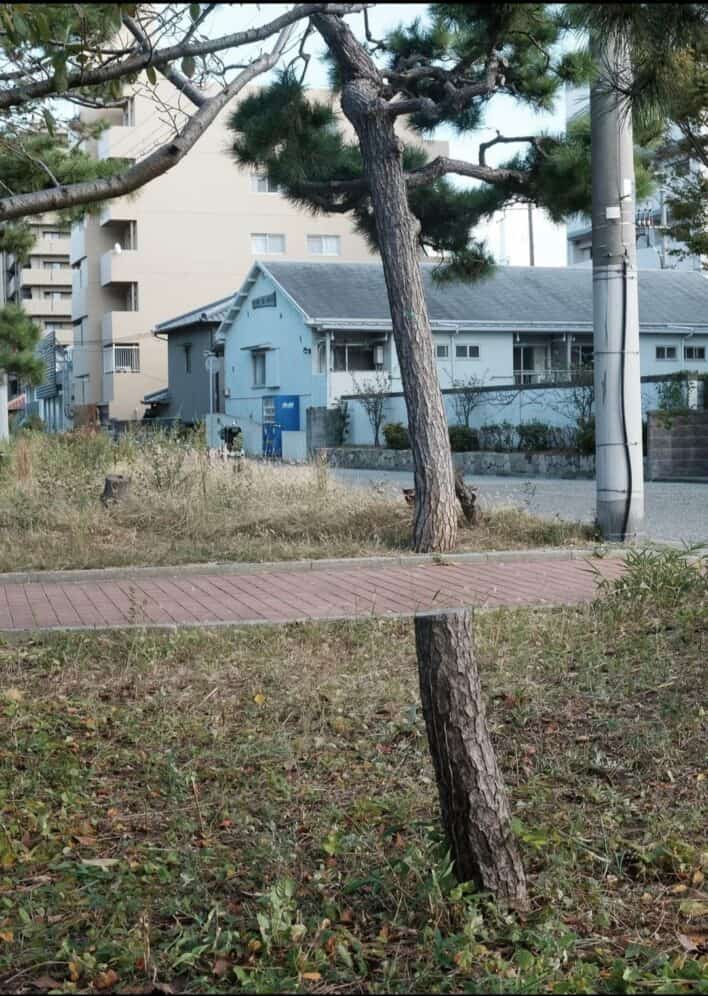 35 Mind-Bending Optical Illusion Pics Taken From Confusing Perspectives ...