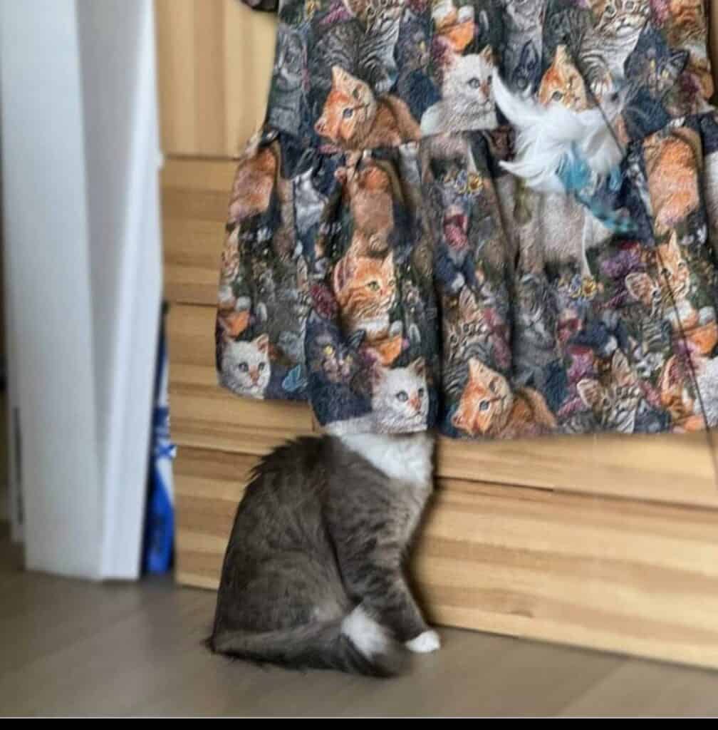 35 Mind-Bending Optical Illusion Pics Taken From Confusing Perspectives ...