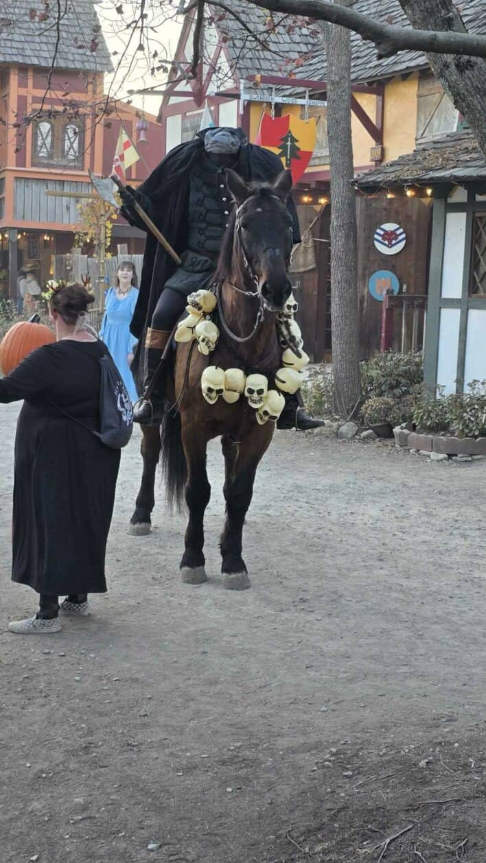 50 Renaissance Faire Enthusiasts Share Carefully Crafted Costumes