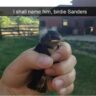 45 Funniest Bird Memes Will Have You Squawking With Laughter