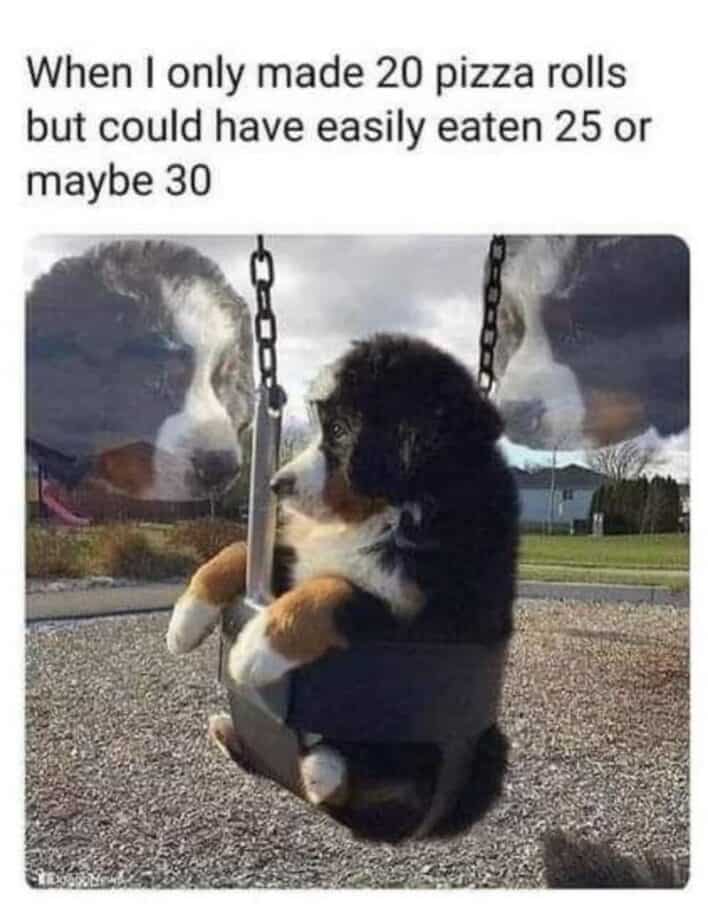 45 Funniest Dog Memes From Canine Enthusiasts This Week (March 22, 2025)