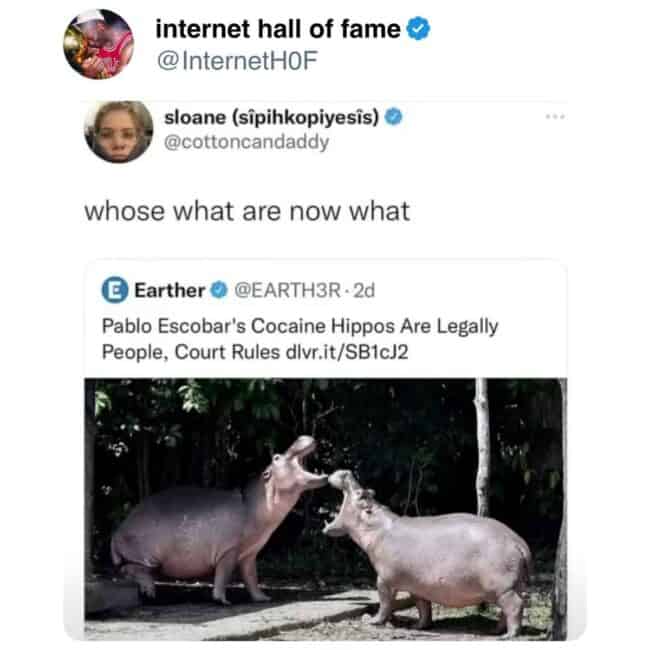 30 Funniest Quote Tweets Of The Week Prove Sometimes The Replies ...