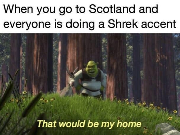 35 Funny Shrek Memes So Hilarious You'll Never Get Ogre Them
