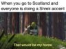35 Funny Shrek Memes So Hilarious You'll Never Get Ogre Them