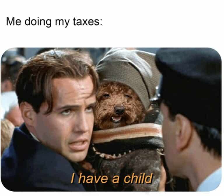 40+ Funniest Tax Memes For Workers Still Putting Off Doing Their Taxes ...