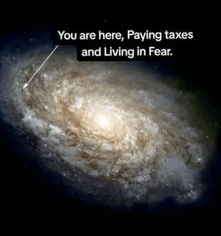 40+ Funniest Tax Memes For Workers Still Putting Off Doing Their Taxes ...