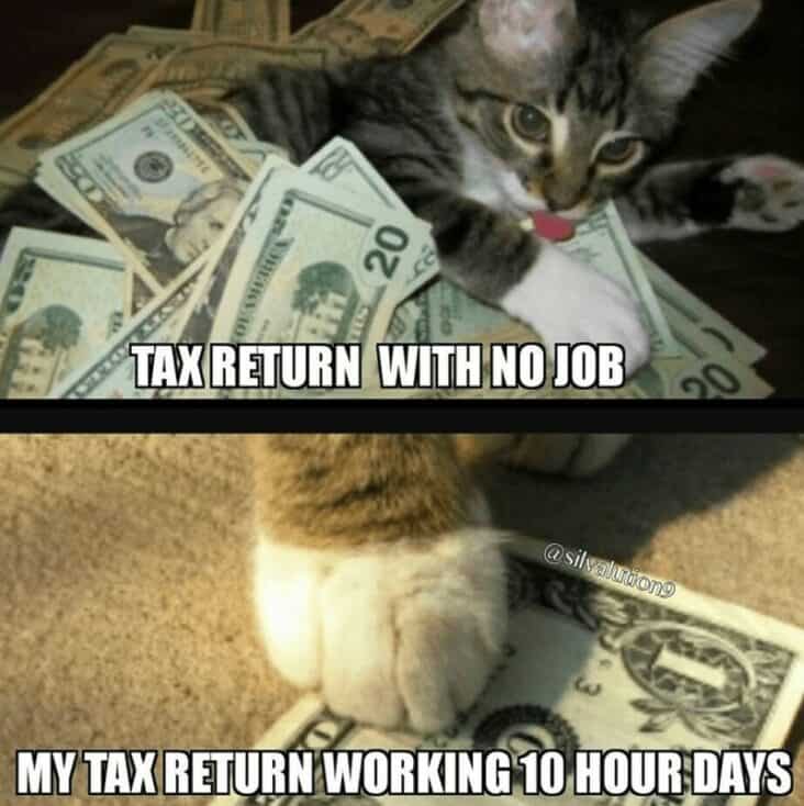 40+ Funniest Tax Memes For Workers Still Putting Off Doing Their Taxes ...