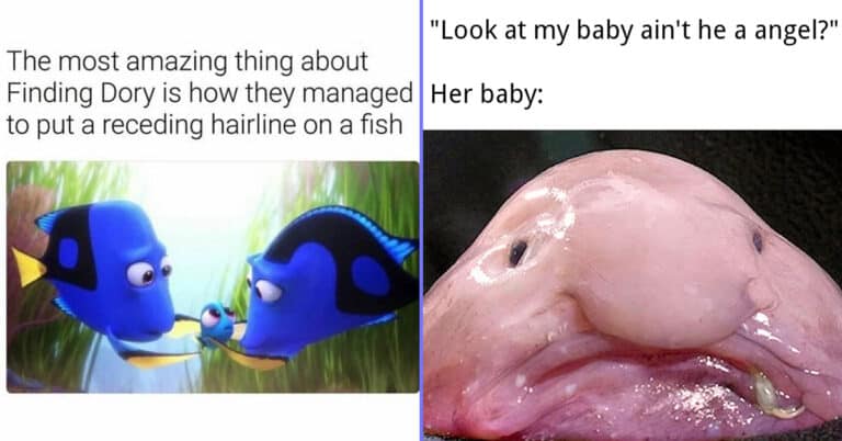 30 Funny Fish Memes That'll Have You Flopping On The Deck With Laughter