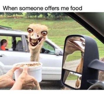 40 Funny Food Memes For Anyone Who’s Always Hungry (March 13, 2025)