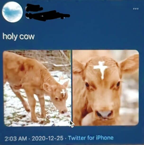 50 Funny Memes That Prove 'Technically Correct' Is The Best Kind Of ...