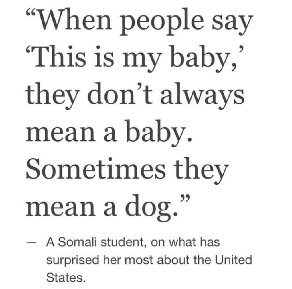 50 Hilarious Jokes So Weirdly Specific They Might Not Be Jokes At All ...