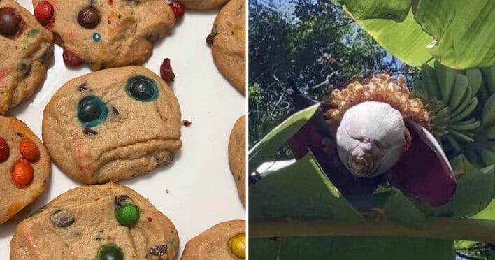 50 Pareidolia Pictures Revealing Funny Faces In Places They Shouldn't ...