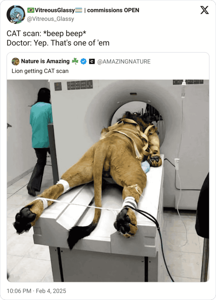 50 Funniest Pictures That Made Us Laugh Our Way Through This Month