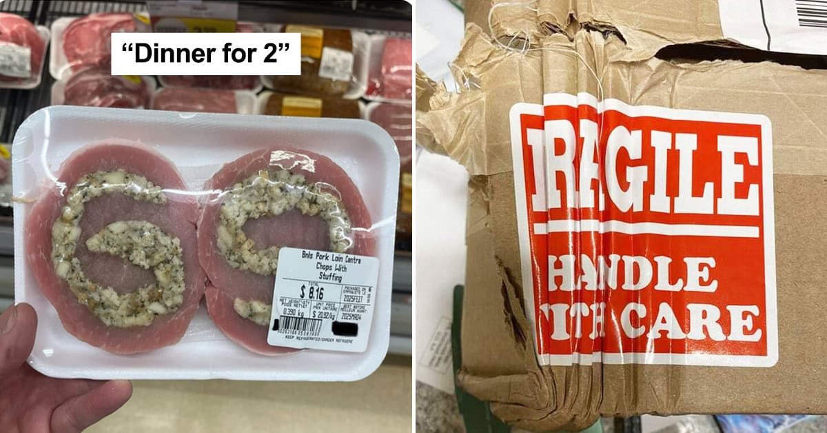 45+ Funny Pictures To Distract You From The Fact That It’s Monday ...