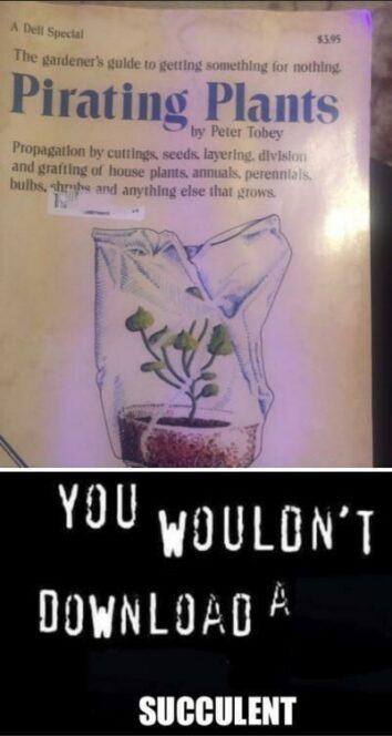 40 Blooming Spring Plant Memes For Green Thumbs And Even Serial ...