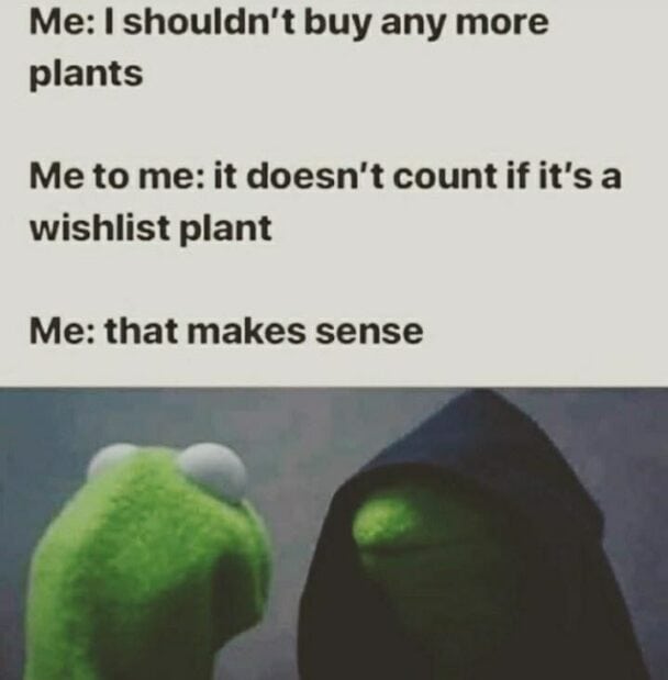 40 Blooming Spring Plant Memes For Green Thumbs And Even Serial ...