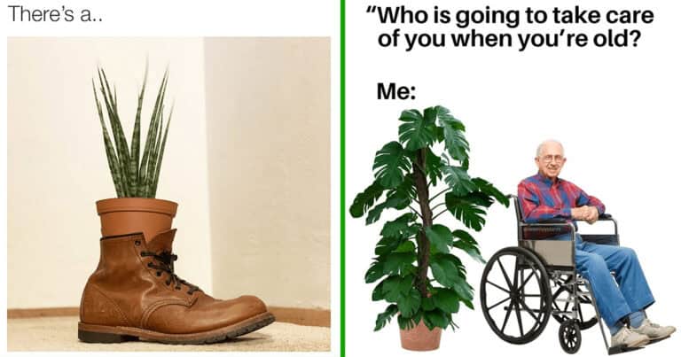 40 Blooming Spring Plant Memes For Green Thumbs And Even Serial ...