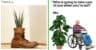 40 Blooming Spring Plant Memes For Green Thumbs And Even Serial ...