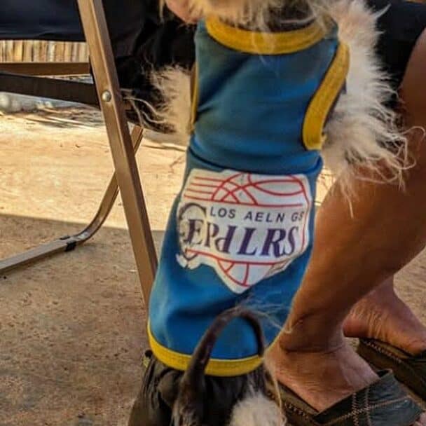 40 Poorly Translated Shirts With A Hilariously Bad Grasp Of The English ...