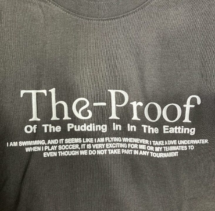40 Poorly Translated Shirts With A Hilariously Bad Grasp Of The English ...