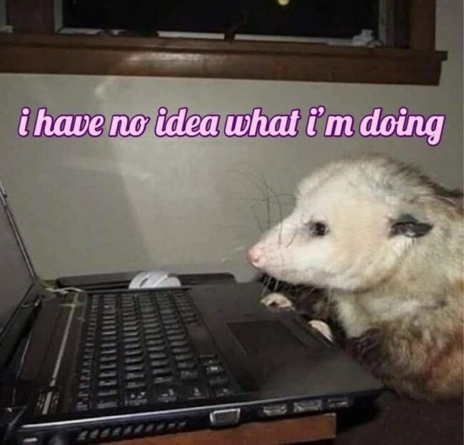 45 Funny Possum Memes Full Of Chaos, Screams, And Trash (March 20, 2025)