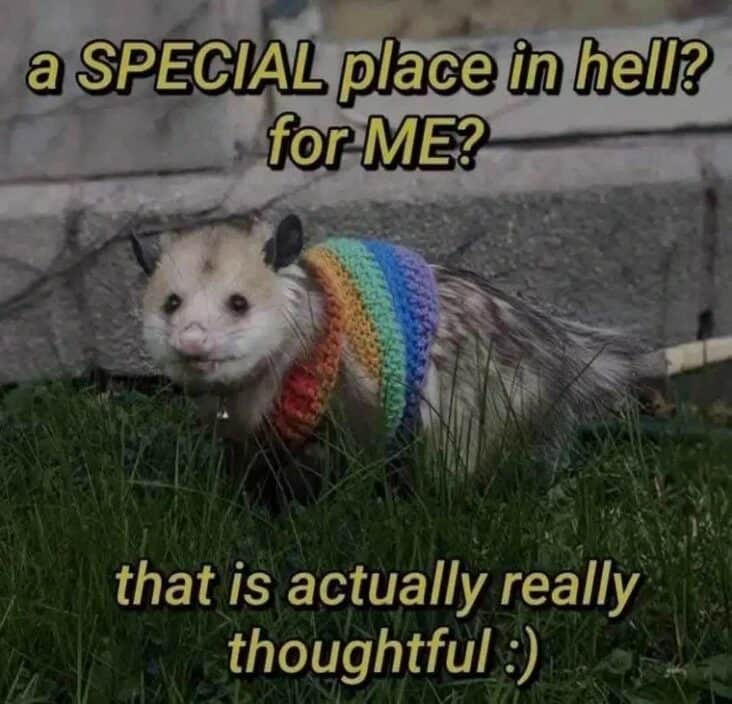 45 Funny Possum Memes Full Of Chaos, Screams, And Trash (March 20, 2025)