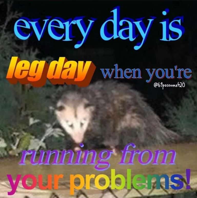 45 Funny Possum Memes Full Of Chaos, Screams, And Trash (March 20, 2025)