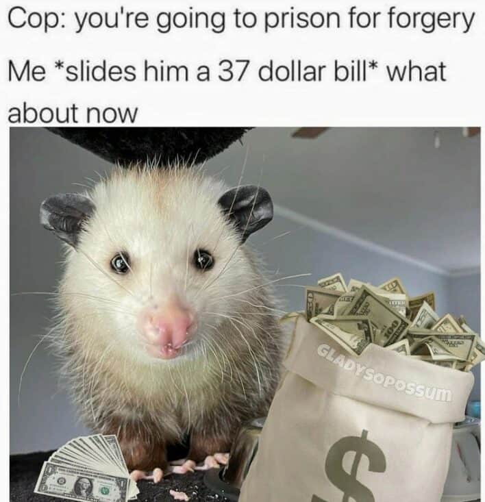 45 Funny Possum Memes Full Of Chaos, Screams, And Trash (March 20, 2025)
