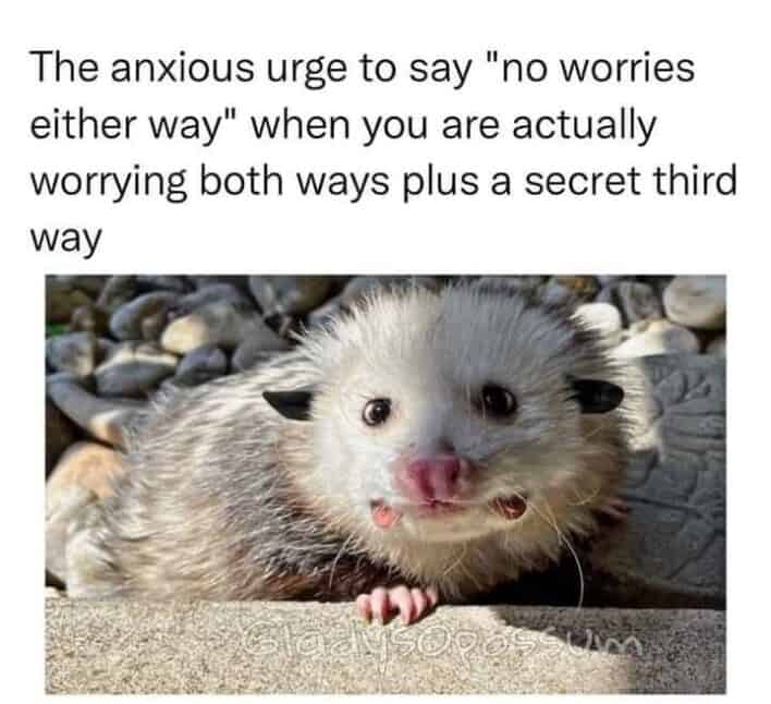 45 Funny Possum Memes Full Of Chaos, Screams, And Trash (March 20, 2025)