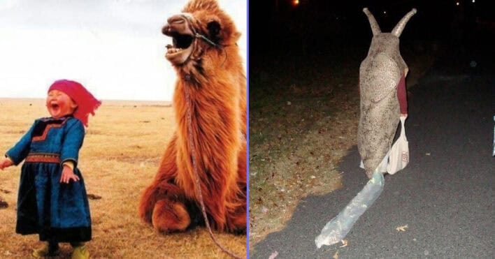 50 Funny Random Pics That Feel Like A Fever Dream