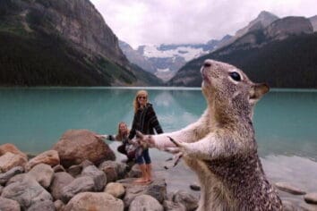 45 Funny And/Or Random Pictures Perfect For A Saturday Afternoon Scroll ...