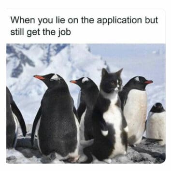 50 Funny And Random Posts The Whole Group Chat Will Love