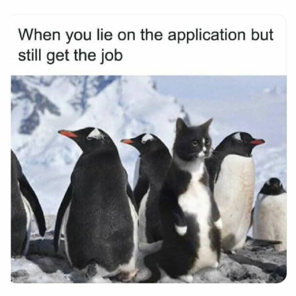 50 Funny And Random Posts The Whole Group Chat Will Love